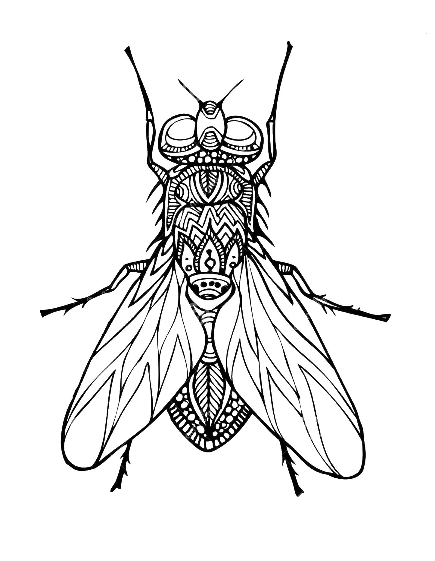 Zentangle de mouche à téléchargez, imprimer et colorier - Collections°1